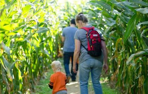 Fall Family Fun - The Farmstead At Oregon Dairy